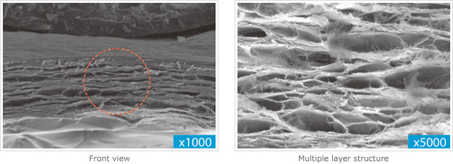 Collagen Membrane » Shop Online | Blue Sky Bio