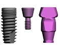 BIO | Max NP Implants » Shop Online | Blue Sky Bio